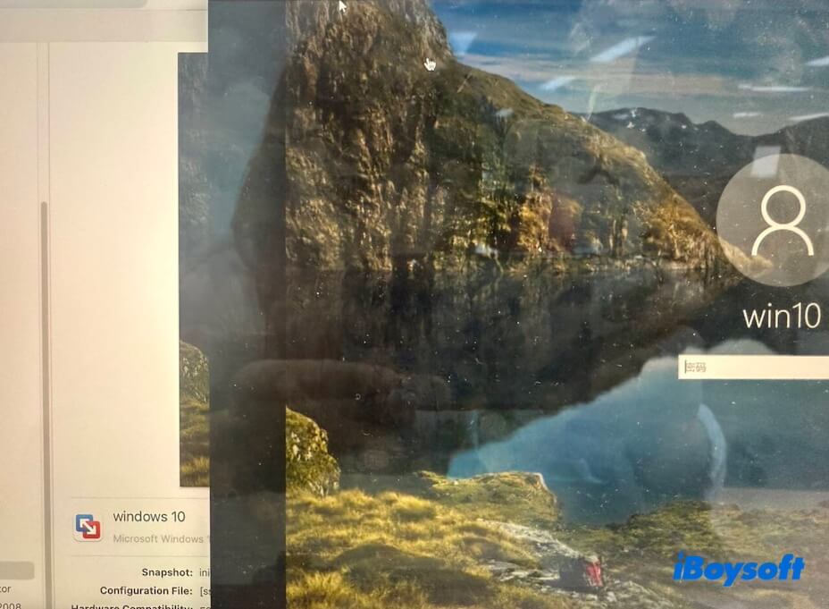 Official Windows ISO Download (Windows 11/10/8.1/8/7/XP)